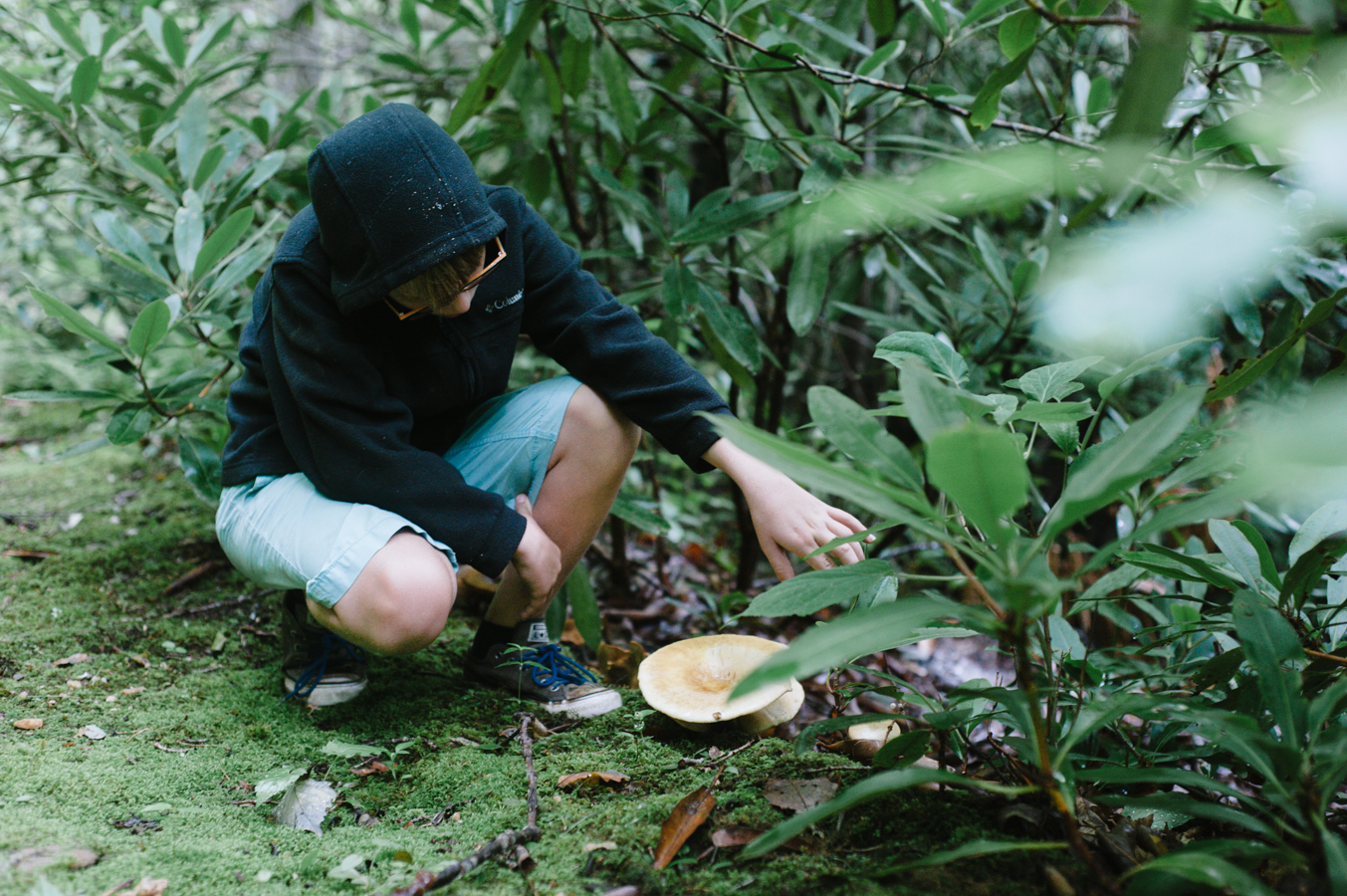a simple path to nature study - Cloistered Away