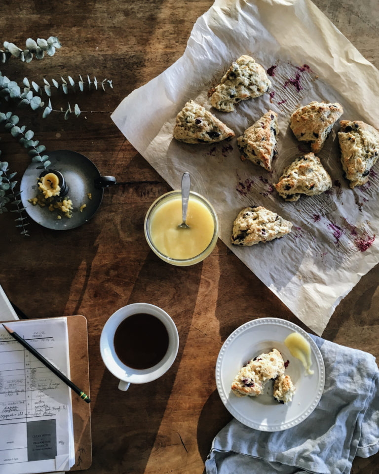 simply living | a webinar to clarify your daily routine - Cloistered Away