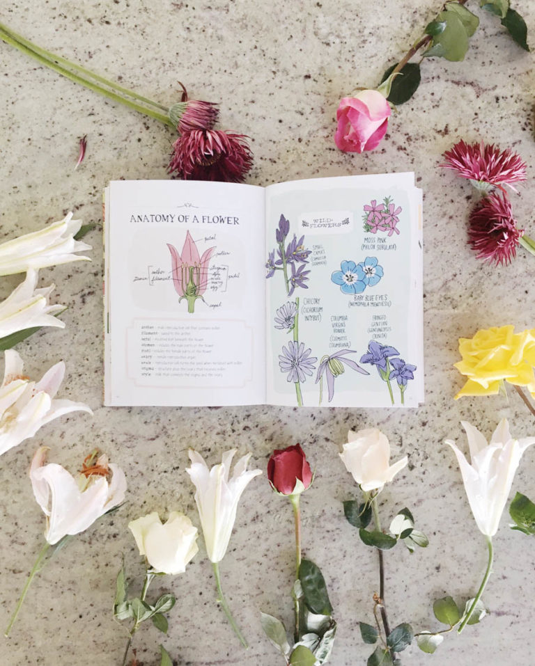 15 Nature Activities + Books to Enjoy Spring Flowers - Cloistered Away