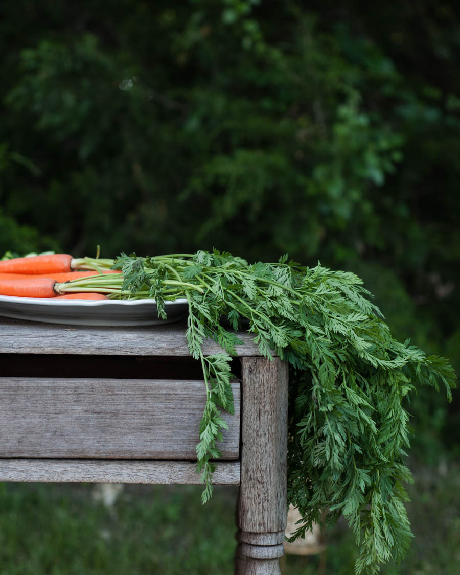 An Elegant Spring Picnic - Cloistered Away