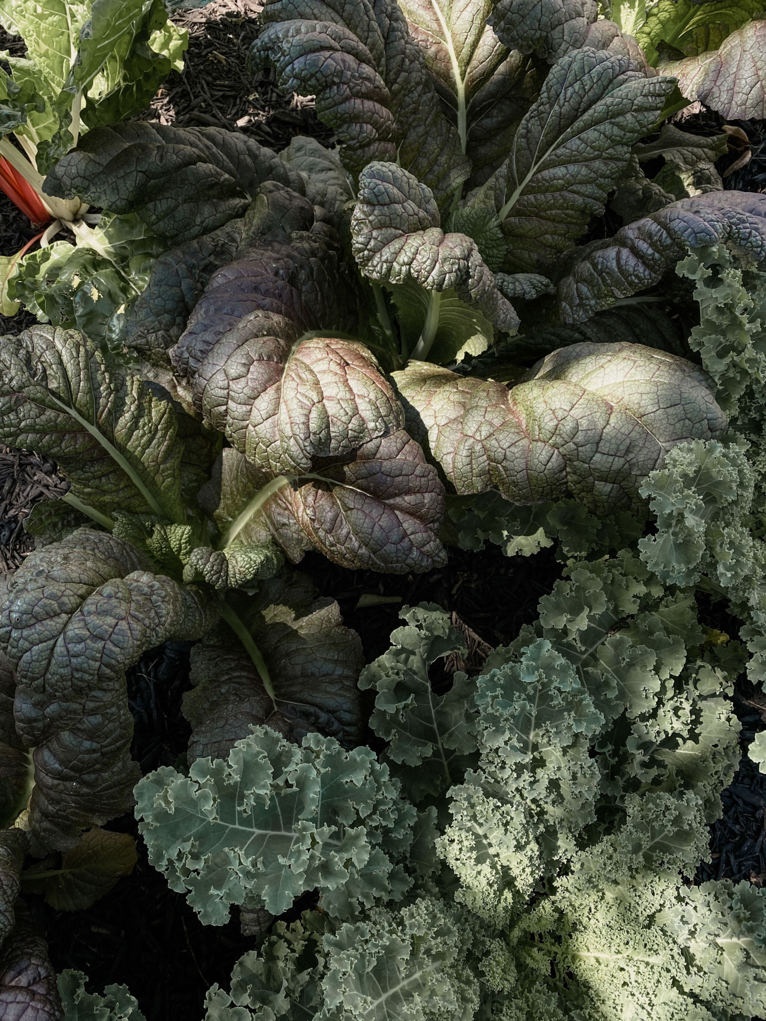 Home - Cloistered Away